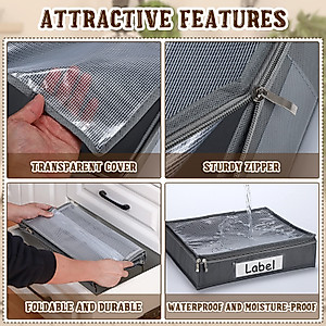 Panelee 6 Pcs 14 x 12 x 3 Inch Sweater Storage Bags Easy Gliding Zippered Sweater Bag Sweater Organizer Closets Under the Bed Zippered Storage Bags with Label Pocket to Avoid Dust Dirt (Gray)