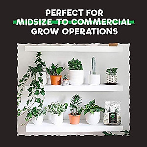 CO2 Emitting Reishi Mushroom Kits - Carbon Dioxide Booster Bag (Standard) - PRE-Activated