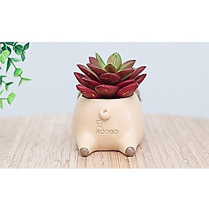 Succulent Pots,Cute Animal Pug Dog Shaped Air Plant Holder Flower Planters-Plants Not in Included