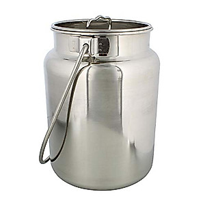 Rural365 Metal Milk Jug, 4 Liter (1 Gal) - Stainless Steel Jug, Rustic Milk Cans with Lid, Old Fashion Milk Jug Vases