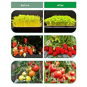 fyheart Grow Lights for Indoor Plants,Full Spectrum Grow Light with Adjustable Stand and Sturdy Clip,5 Light Tube,3 Light Modes,10 Dimmable Brightness,4/8/12 H Timer,360° Gooseneck,Remote Control