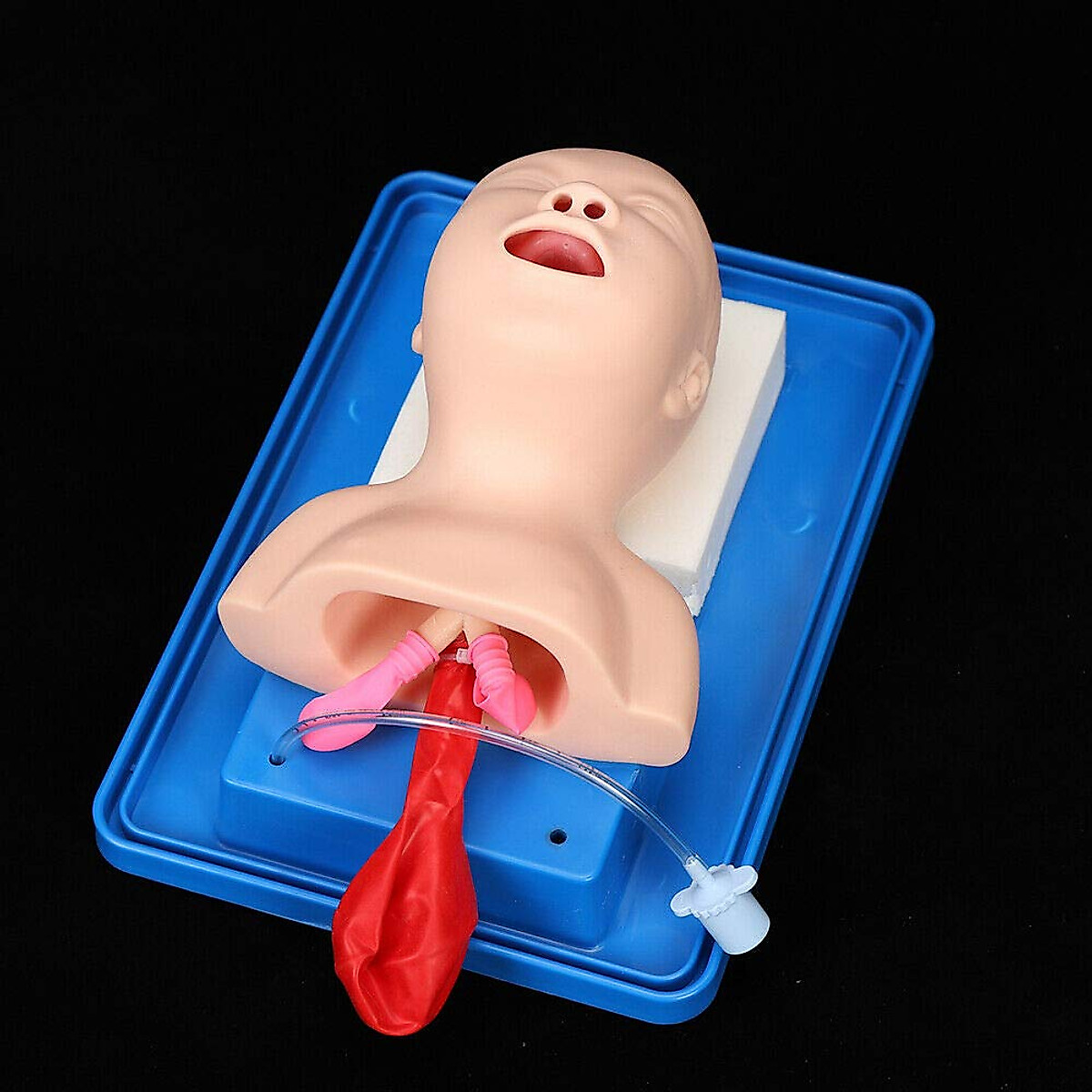 PVC Intubation Manikin Study Teaching Model Infant Baby Model Airway Management Trainer Tool with Tube (US Stock)