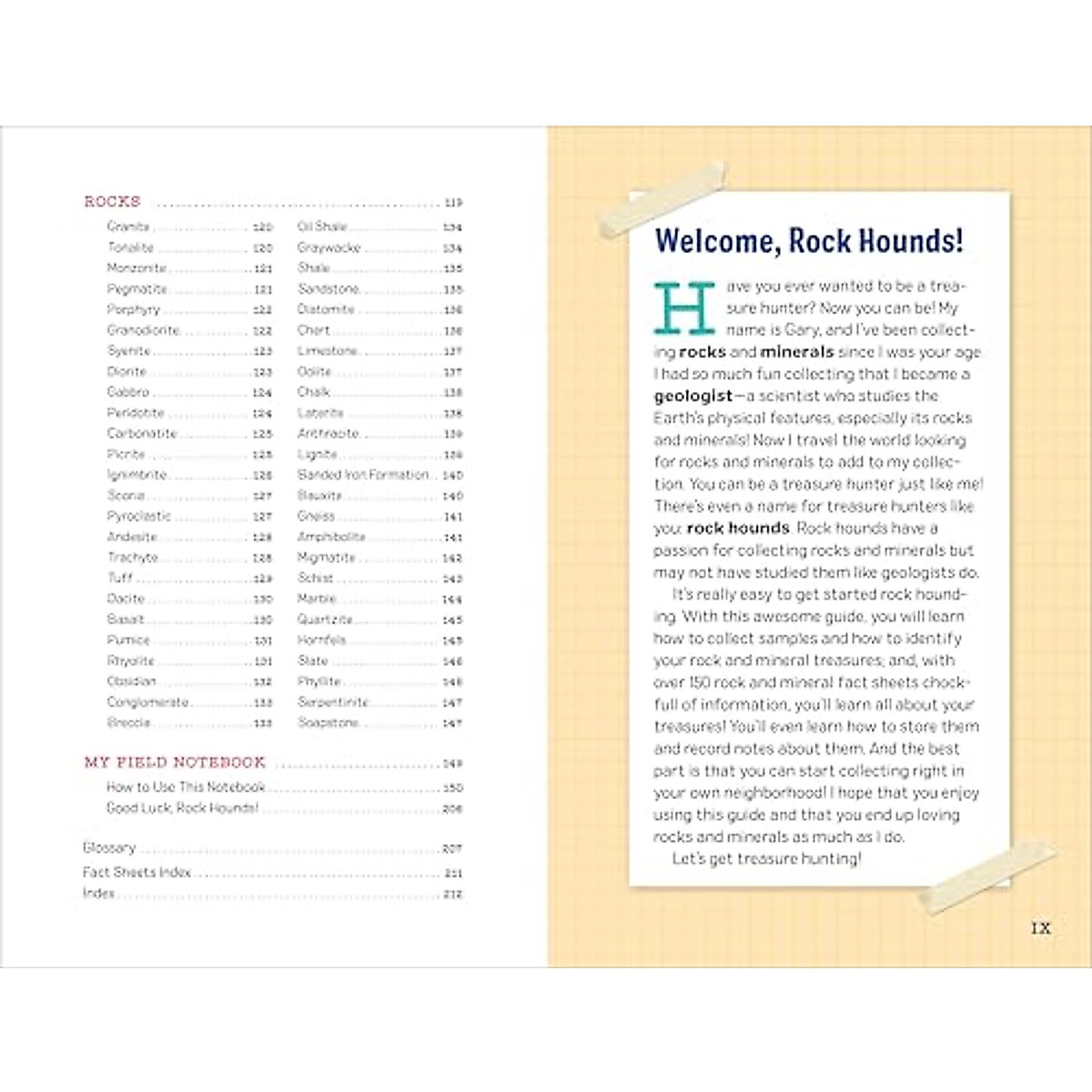 My Awesome Field Guide to Rocks and Minerals: Track and Identify Your Treasures (My Awesome Field Guide for Kids)