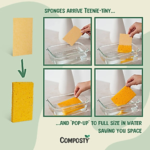 Composty® | Premium 'Pop-Up' Eco Sponges | 12 Pack | Compostable | Zero Waste | Plastic Free | Natural Cellulose | Long-Lasting | 4 Colors: Perfect for Kitchen, Washing Up, Bathroom | One Tree Planted