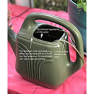 Cilantro Seeds for Planting-Slow Bolt,香菜.Non GMO Seeds for Sprouting,Herb Seeds for Planting Home Garden and Hydroponic Pods(100 Slow Bolt Cilantro Seeds for Planting,1g) USA