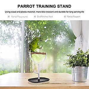 PATKAW Outdoor Toys Outdoor Toys Outdoor Playset 2 Pieces Bird Perches, Wooden Parrot Wooden Perch Bird Perch Training Standing Rack Parrot Stand Branch Outdoor Toys Outdoor Playset Wooden Toys