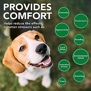 VETS BEST COMFORT CALM SOFT CHEW