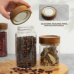 piconesper 2PCS Small Glass Storage Jars with Airtight Lids, 19.3 fl oz (560ml) coffee container with Wooden Lid, Glass Pantry Canister for Beans, Rice, Sugar and etc (2PCS, 560ML)