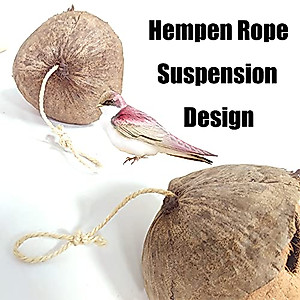 PINVNBY Natural Coconut Bird Hide Nest Hut House Coconut Shell Breeding Bird Nest Coconut Fiber Hanging Birdhouse Cage Habitats Decor for Pet Parrot Budgies Parakeet Lovebird Finch Canary(2 Packs)