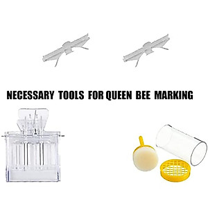 BeeCastle Beekeeping Supplies 22PCS Beekeeping Tools Kit, Bee Keeping Supplies-All Tools Kit Bee Keeping Starter Kit for Beginners and Professional Beekeepers