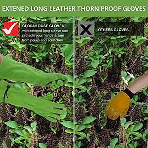 GLOSAV Professional Thorn Proof Gardening Gloves for Women and Men Rose Pruning & Cactus Trimming, Long Sleeve Heavy Duty Ladies Garden Gloves, Cowhide Leather (Small, Green)
