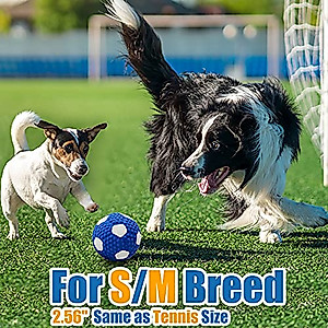 Wieppo Soft Squeaky Dog Ball 2.56”, Latex Squeaky Dog Toys for Medium Dogs and Small Dogs to Fetch, Chase 3pcs