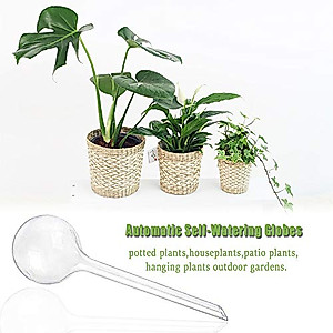 Jnynhha 6PCS Clear Plant Watering Bulbs,Automatic Watering Globes,Plastic Self Watering Bulbs Ball for Plant,Garden,Indoor Outdoor Decoration