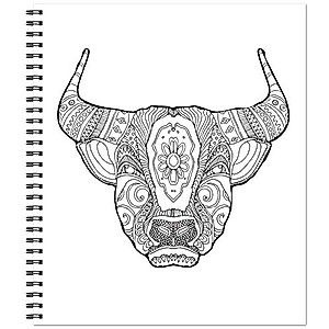 Color & Frame - Painted Deserts (Adult Coloring Book)