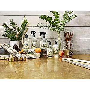 Caldrea Dish Soap, Biodegradable Dishwashing Liquid made with Soap Bark and Aloe Vera, Gilded Balsam Birch Scent, 16 oz