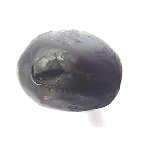 phoenix888 Kurma Laxmi Navnidhi Purnachakra Purnagarbha Shaligram