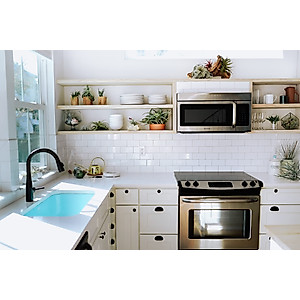 Air Plant Shop 5 Pack XL Tillandsia Balbisiana - Wholesale and Bulk - Succulents - Live Tillandsia - Easy Care Indoor and Outdoor House Plants