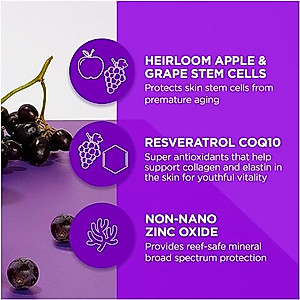 Andalou Naturals Perfecting BB Beauty Balm Natural Tinted Moisturizer with SPF 30, 2-in-1 BB Cream & Face Sunscreen with Broad Spectrum Protection, Mineral Sunscreen with Non-Nano Zinc Oxide, 2 Fl Oz