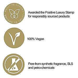 Aromatherapy Associates Conditioner. Luxurious Haircare for Nourished Hair. Made with Ylang Ylang and Rosemary Essential Oils for All Hair Types (10 fl oz)