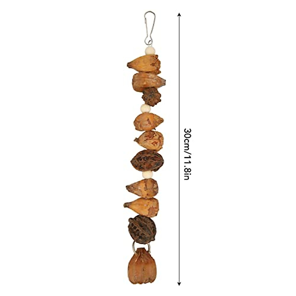 Nuts Chew Toy, Bird Chew Toys, Parrot Toys Grinding Mouth Bite Resistance Logs Natural Nuts Hanging Parrot Chew Toys Bird Toys for Parrots Budgies Macaws