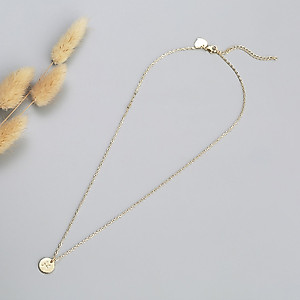 Befettly Constellation Necklace Pendant 14K Gold-Plated Hammered Round Disc Engraved Star Sign Pendant 17.5’’ Adjustable Dainty Necklace NK-Pisces