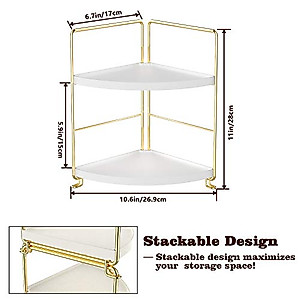 kaileyouxiangongsi 2-Tier Kitchen Spice Rack-Corner Bathroom Shelf- Kitchen Triangle Storage Rack - Standing Rack for Bathroom, Living Room, Bedroom, Kitchen (Golden)