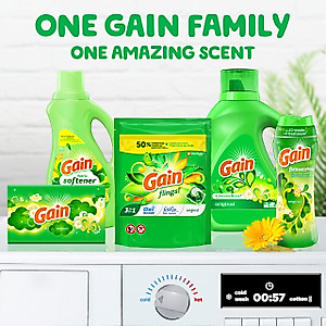 Gain flings Laundry Detergent Soap Pacs, HE Compatible, 22 Oz, Long Lasting Scent, Original Scent