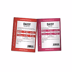 Daisy Seeds for Planting Outdoors Flower Seeds (3 Variety Pack) Alaska Shasta Daisy, Painted Daisy, Yellow Daisy Varieties for Butterflies, Bees, Pollinators Wildflower Seed by Gardeners Basics