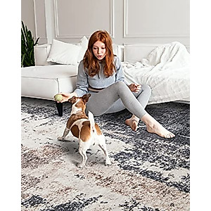 Area Rug Living Room Rugs: 5x7 Large Soft Indoor Carpet Modern Abstract Decor Rug with Non Slip Rubber Backing for Under Dining Table Nursery Home Office Bedroom Gray Brown