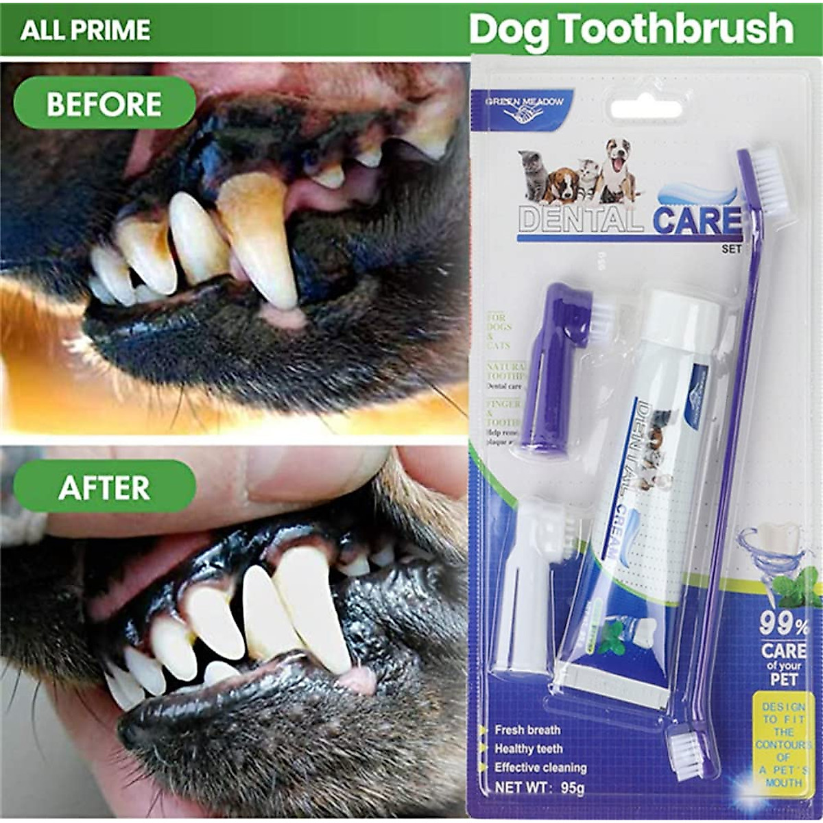 Teleyi Dog Toothbrush Kit,4-Piece Set with Toothpaste Fingerbrush,Cat Teeth Cleaning,Pet Oral Dental Care Fresh Breath Brush,Cute Puppy Whitening Cleansing for Small Large Dogs,Beef Flavor