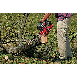 CRAFTSMAN V20* Cordless Chainsaw, 12-Inch (CMCCS620M1)