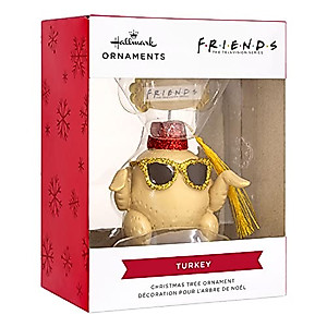 Hallmark Friends Frame Christmas Ornament, Resin & Friends Turkey in Fez and Sunglasses Christmas Ornament, Resin