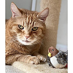 GIGWI Melody Chaser Motion Activated Bird, Black (G10052A1)