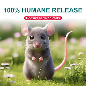 2024 Upgraded - 12.5 in Enlarge Humane Mouse Traps for Indoor Outdoor, 2 PCS Live Rat Trap Catch and Release with Brush, Easy to Set/Clean, No Kill Mice Trap Reusable for Mouse Rat, Mole, Rodent