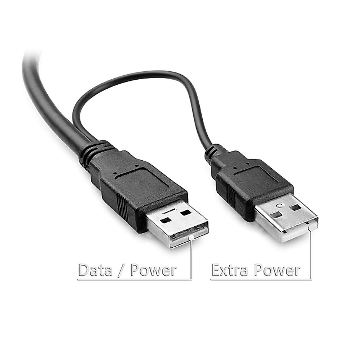cablecc Dual USB 2.0 Male to Standard B Male Y Cable 80cm for Printer & Scanner & External Hard Disk Drive