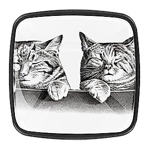 4 Pieces Kitchen Cabinet Knobs, Grey Sleepy Cats Glass Crystal Knobs for Dresser Drawers Cupboard Furniture Pulls Hardware Square Knobs