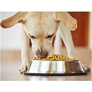 GPET Dog Bowl 32 Oz Stainless Steel Bowls with Anti-Skid Rubber Base for Food or Water Perfect Dish for Dog Puppy Cat and Kitten (2 Pack)