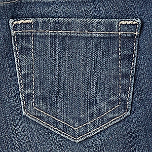 The Children's Place Baby Girls And Toddler Girls Basic Skinny Jeans,Blues Wash Single,4T