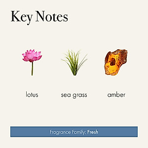 LAFCO New York Reed Diffuser Refill, Sea & Dune - 8.4 oz - Up to 4-Month Fragrance Life - Includes Natural Wood Reeds - Free of Dyes & Propellants - Made in The USA