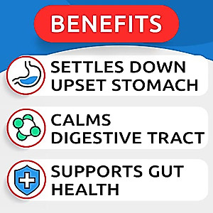 Pumpkin for Dogs - 8.1oz Powdered Fiber Supplement and Stool Softener - Treat Diarrhea, Constipation, Upset Stomach, Food Sensitivity - Improve Digestion - Made in USA