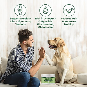 Green Lipped Mussels for Dogs & Cats - Premium Joint Supplement Powder for HIPS, Joints, and Muscles (150 Grams, Up to 500 Servings)