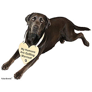 Pulse Brands Engagement Photo Prop Sign - My Humans are Getting Married - Engagement Gifts - Bride to Be - Engaged - Engagement Gifts for Couples