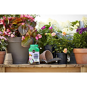 Miracle-Gro Shake 'n Feed Rose and Bloom Plant Food - Promotes More Blooms and Spectacular Colors (vs. Unfed Plants), Feeds Roses and Flowering Plants for up to 3 Months, 1 lb.