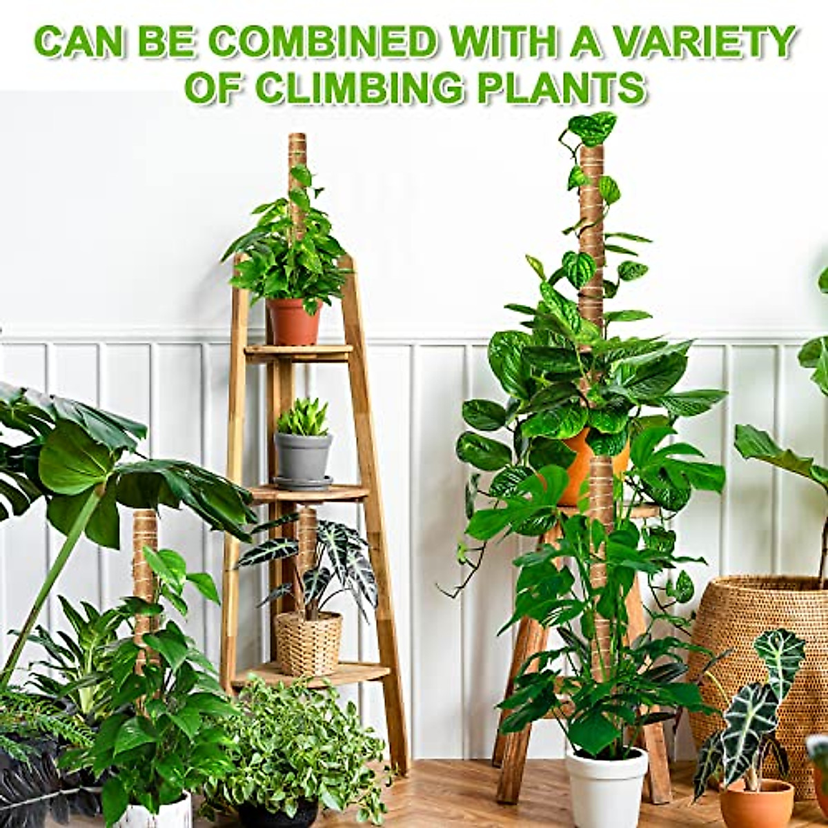 [6 Pack] 94'' Moss Pole, Moss Pole for Plants Monstera, Plant Support Stakes for Indoor Climbing Plants, Monstera Stakes Coco Coir Pole for Potted Plants with 12 Pcs Plant Labels and 100 Pcs Ties