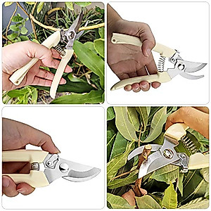 Professional Garden Scissors, Stainless Steel Bypass Pruning Shears, Garden Shears, Gardening Tools (1Pack )