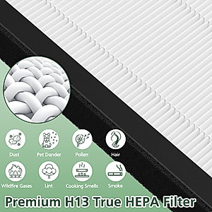 isinlive ProHEPA 9000 True HEPA Replacement Filters Compatible with VEVA ProHEPA 9000 Air Pur ifiers, 2 Pack Premium True HEPA Filters + 8 Pack Activated Carbon Filters