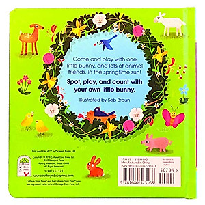 One LIttle Bunny: A Counting Playbook - Children's Board Book Gifts for Easter Baskets and Springtime Fun, Ages 1-5