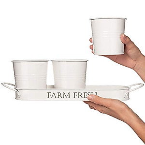 Herb Pots with Tray Set, Indoor Herb Planter, Farmhouse Inspired Decorative Herb Garden Planter with Drain Holes for Healthy Plants, Ideal for Indoor Windowsill