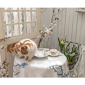 123Arts Ceramic Cat and Flower Coffee Mug Teacup Set with Saucer