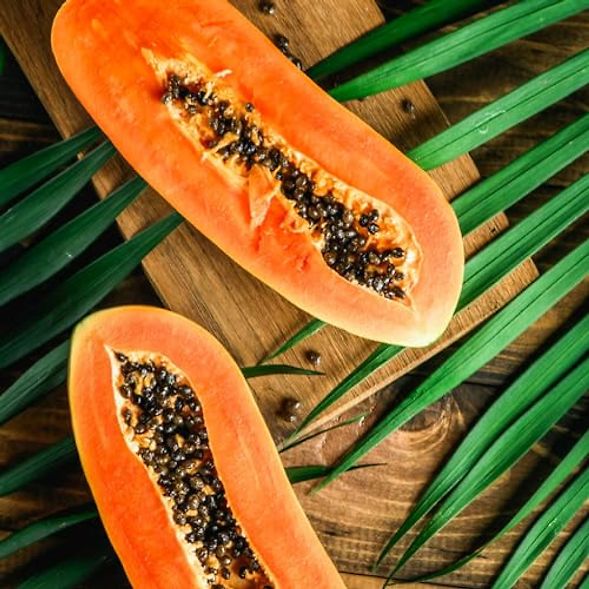 10 Dwarf Papaya Tree Seeds Sweet and Tasty and Juicy Easy to Grow Non ...